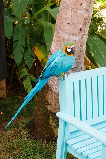 Premium Photo Bird Perching On Tree Trunk
