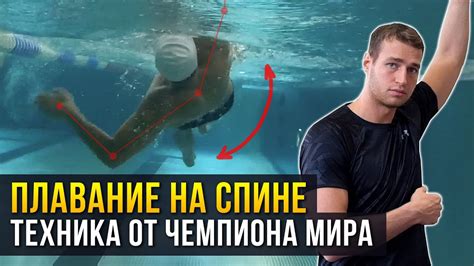 Как плавать на спине 5 правил от ЧЕМПИОНА МИРА Техника плавания на