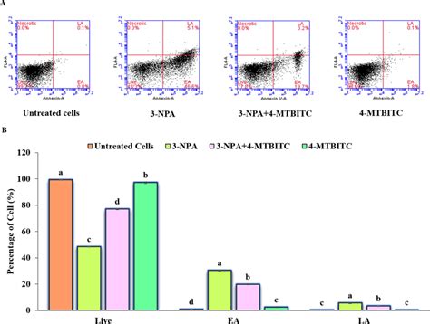 A Flow Cytometric Representation Of Apoptosis By Dot Plots Of Double