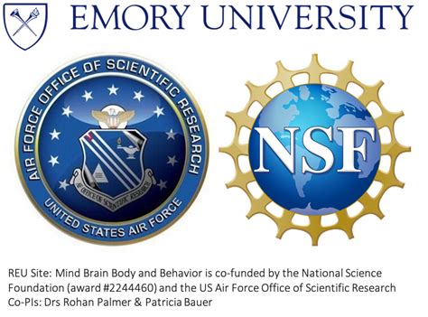 Reu Site Mind Brain Body And Behavior