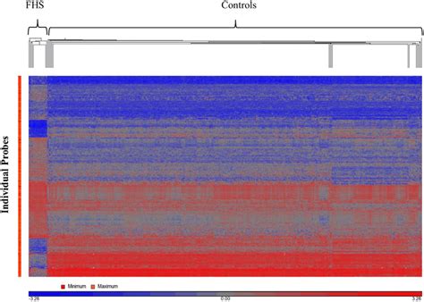Euclidean Hierarchical Cluster Analysis Hierarchical Clustering Of