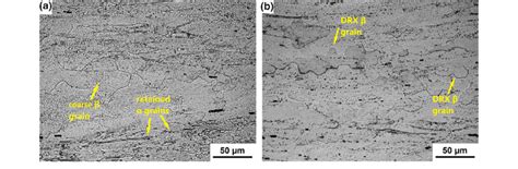 Microstructure Of Ti 10 2 3 Alloy Compact Deformed At A 900 °c And At