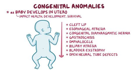 Types Of Congenital Disorders Medizzy