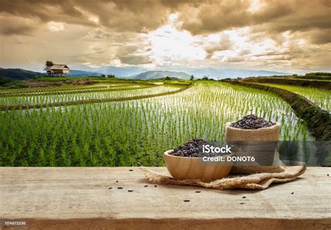 Rice Berry Dalam Mangkuk Dan Karung Di Atas Meja Kayu Dengan Latar