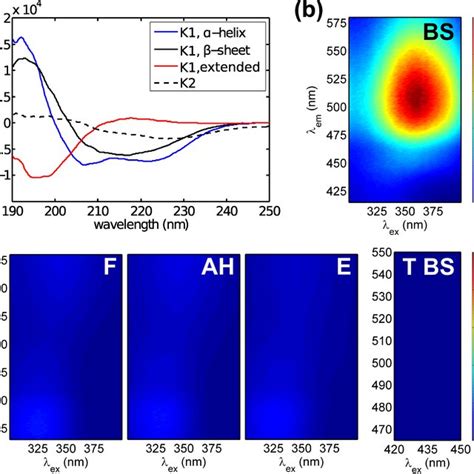 Secondary Structural Variants Of Polyamino Acids Interact Specifically