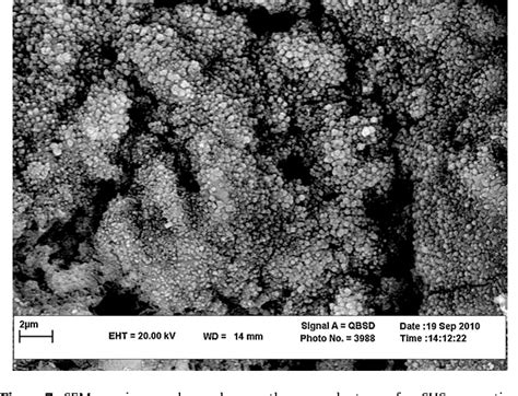 Figure 7 From Fabrication Of Fe Al2o3 Composite Foam Via Combination Of Combustion Synthesis And