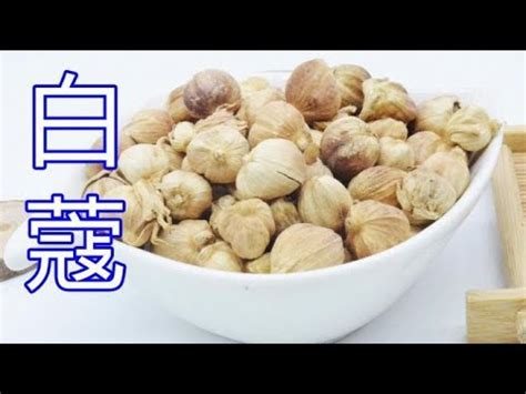 大厨揭秘香料知识第十一集白蔻干货不容错过建议收藏 YouTube