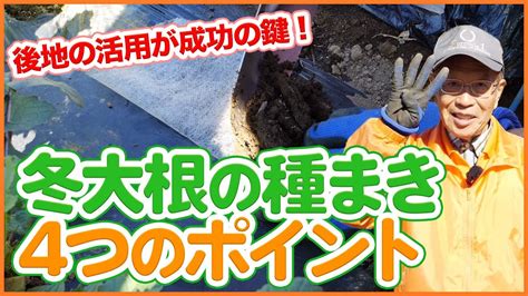家庭菜園や農園の冬大根栽培で発芽率をアップさせる種まきのコツ！栽培後地の活用が成功の鍵！4つのポイントを徹底解説！【農園ライフ】 Youtube
