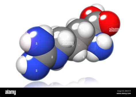 Medical Graphic Cut Out Stock Images And Pictures Alamy