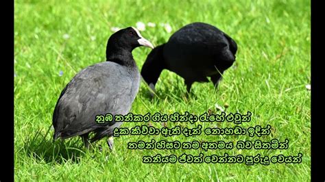 තමන් හිසට තම අතමයි සෙවනැල්ල නිසඳැස් කවි Sinhala Nisadas Youtube