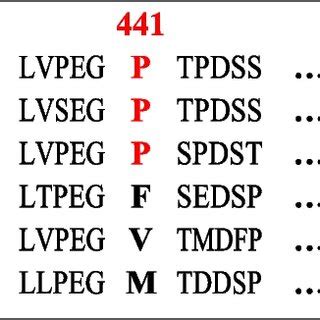 Evolutionary Conservation Analysis Of Altered Amino Acid Red This