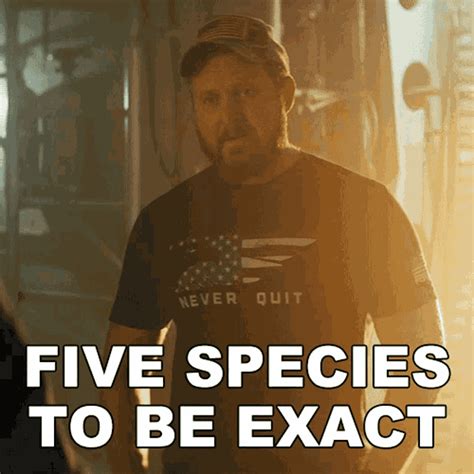 Five Species To Be Exact Sonny Quinn  Five Species To Be Exact