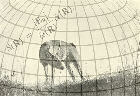 Reimagining The Link Between Geographic Space And Species Could Boost
