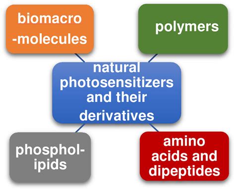 Molecular Nanoarchitectonics Of Natural Photosensitizers And Their Derivatives Nanostructures