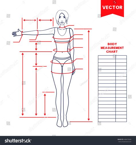 Woman Body Measurement Chart Scheme For Measurement Human Body For