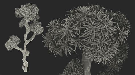 Podocarpus Small Tree 3d Model 29 3ds Blend C4d Fbx Max Ma