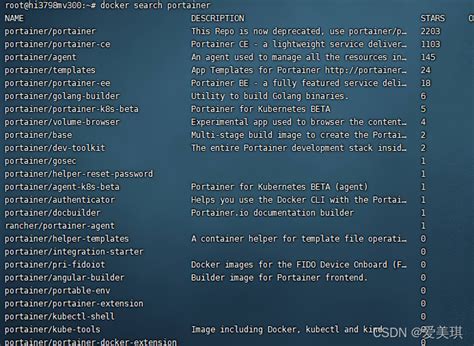 Docker 安装 Portainer 并汉化 中文版portainer Ce Public Cn Csdn博客