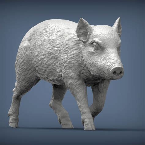 3d Printable Small Boar By Alexander3dart