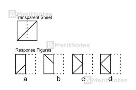 1000 paper folding non verbal reasoning questions and answers pdf 1