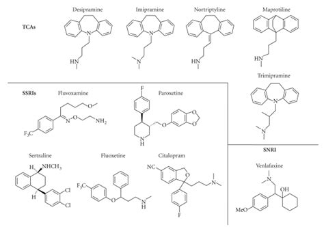 The Tcas Ssris And Snris Above With The Exception Of Citalopram