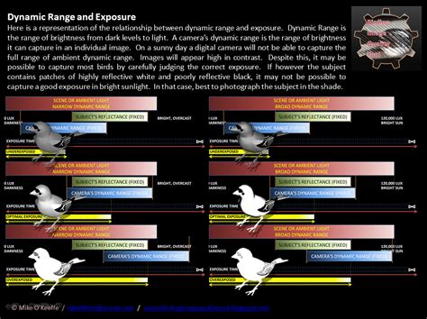 Birding Image Quality Tool Forensics High Dynamic Range Imaging Hdri
