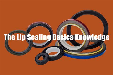 Lip Seal Knowledge 1 Authoritative Article To Clarify