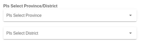 Vuejs Vuejs Auto Fill Selected Dropdown List Relate Field Stack