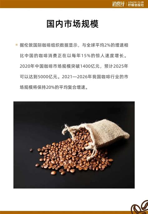 中国咖啡行业发展白皮书 氪