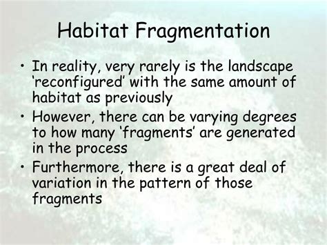 Ppt Habitat Fragmentation Powerpoint Presentation Free Download Id 340168