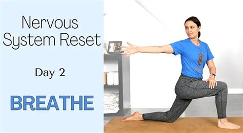 Nervous System Reset Yoga With Rachel