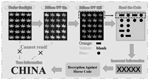 咔唑基3 5 二氰基吡啶衍生物的制备室温磷光及防伪性能