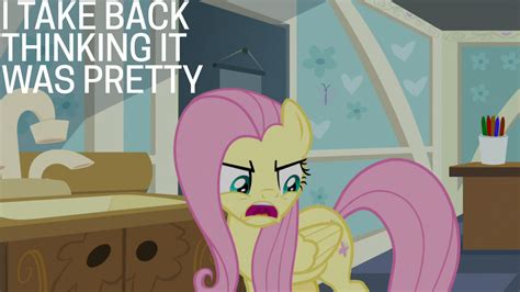 #2689191 - safe, edit, edited screencap, editor:quoterific, screencap, fluttershy, pegasus, pony ...