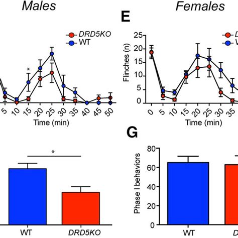 Formalin Induced Nocifensive Behavior Is Attenuated In Males Drd5ko