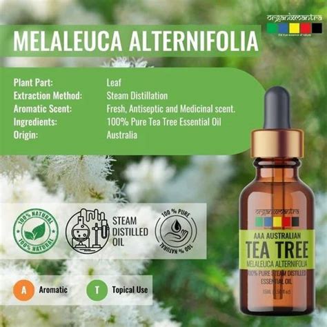 Organix Mantra Tea Tree Essential Oils For Skin Hair Face Acne Care
