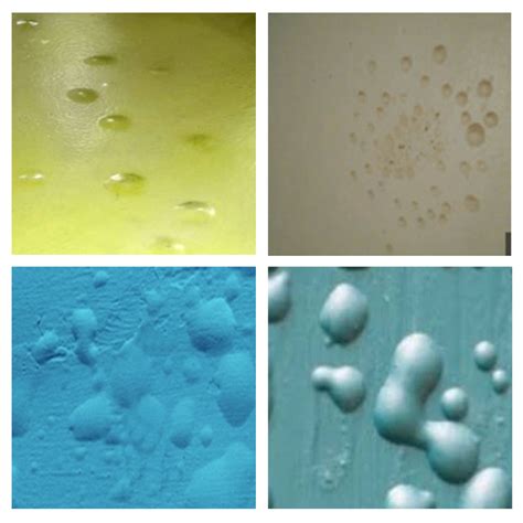 Why Has The Flooringcoating Got Blistersbubbles In It Osmotic