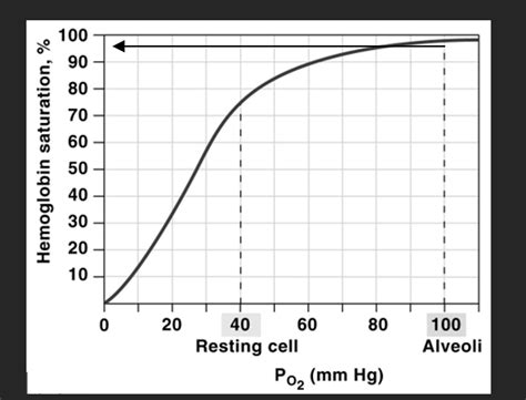 1 Use The Graph To The Right At Rest The Po2 In The Lungs Is 104 Mmhg