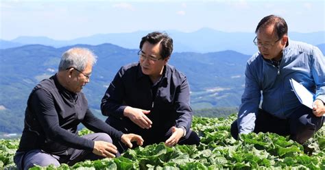 여름배추 현장 다시 찾은 정황근 비축 물량 충분수급 안정 총력