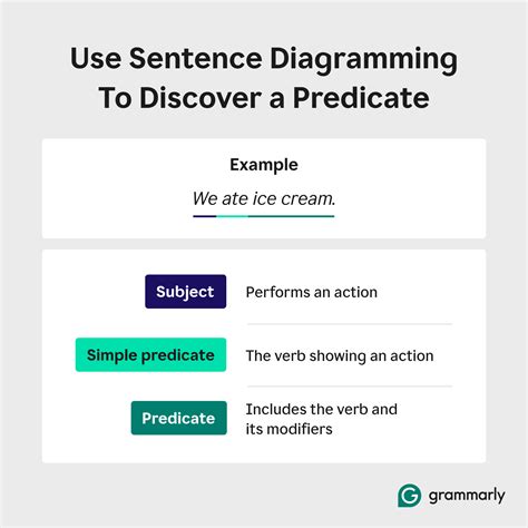 What Is A Predicate Adjective Definition Examples
