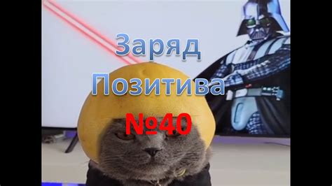 Заряд позитива №40 Подборка позитивных видео Розыгрыши пранки юмор