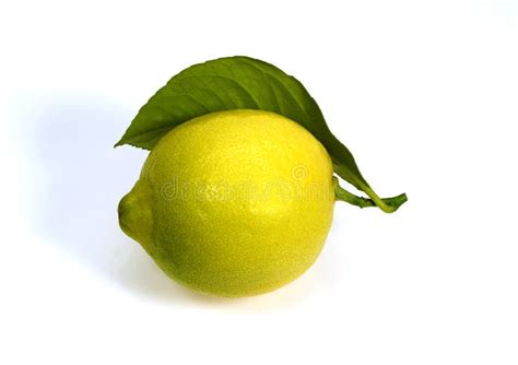 Citron Jaune Stock Image Image Of Indoor Lemon Still 172802401