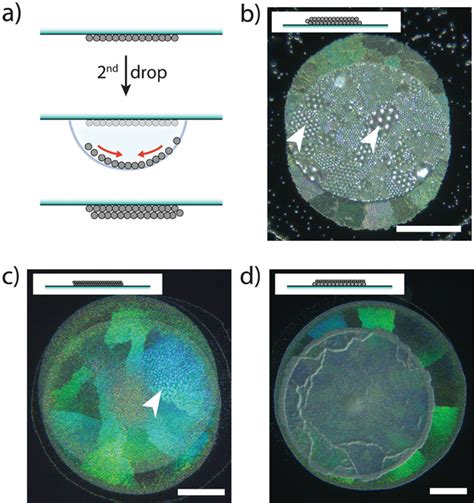 Successive Deposition Of Ordered Colloidal Monolayers A After A First