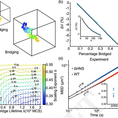 A Transition To A Higher Exponent Msd Curve Transitions At The