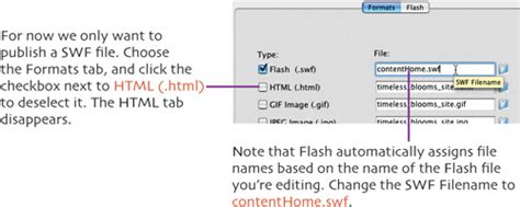 Chapter 8 Publish Your Web Site Creating A Web Site With Flash 8