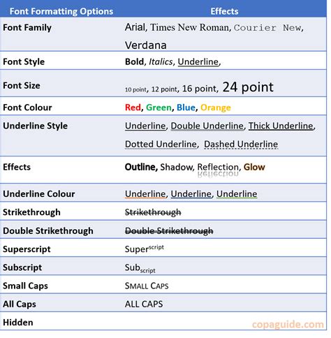 Ms Word Hindi Notes Using Font Effects