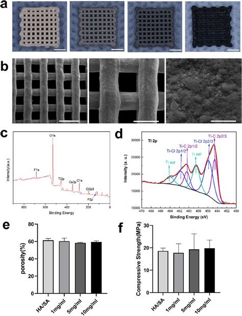 A Digital Photographs Of 3d Printed Composite Scaffolds Scale Bars Download Scientific