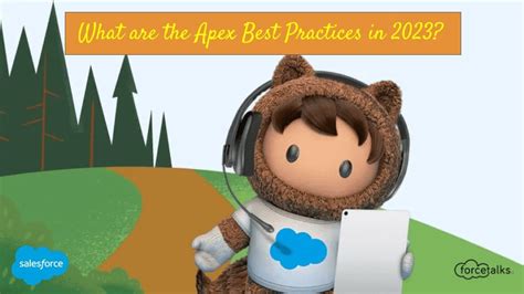 What Are The Apex Best Practices In 2023 R Sfblogs