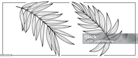 흰색 바탕에 나뭇잎이 있는 나뭇가지의 검은색 윤곽선 장식 월페이퍼 표지 엽서 패턴에 대한 식물 배경 디자인을 만들기 위한 요소입니다 색칠 공부 페이지의 배경입니다 0명에