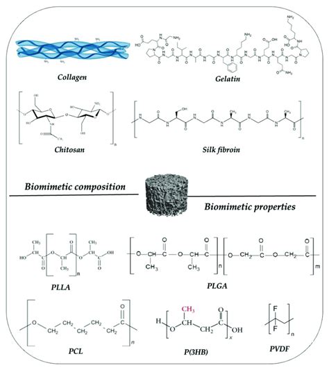 Natural And Synthetic Polymers Used For Magnetic Scaffolds Formulation