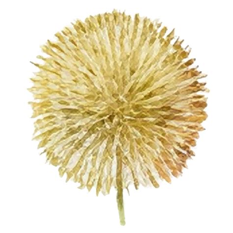 ベクトル水彩画の花を描いた手描きの花のデザイン要素が白い背景で隔離 プレミアムベクター